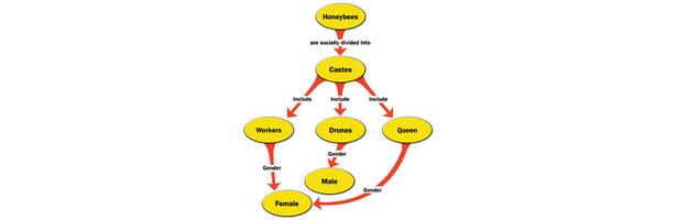 How To Make A Concept Map In Microsoft Word EHow