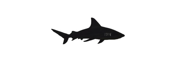  How To Make A Paper Mache Shark 7 Steps EHow