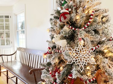 Slip a sable under the tree store